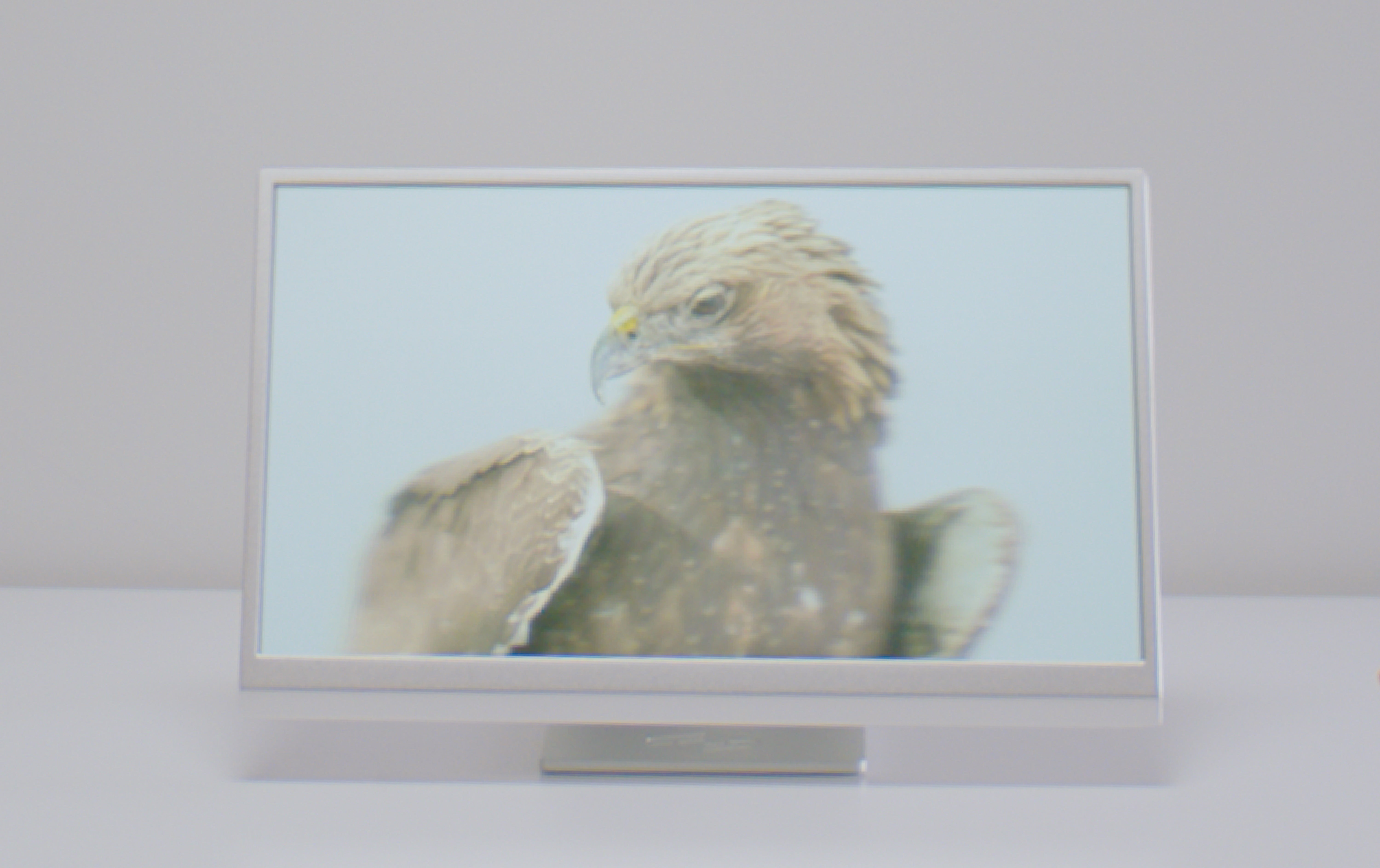 Looking Glass Factory