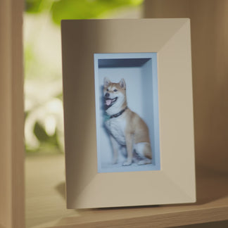 Looking Glass Go – Looking Glass Factory